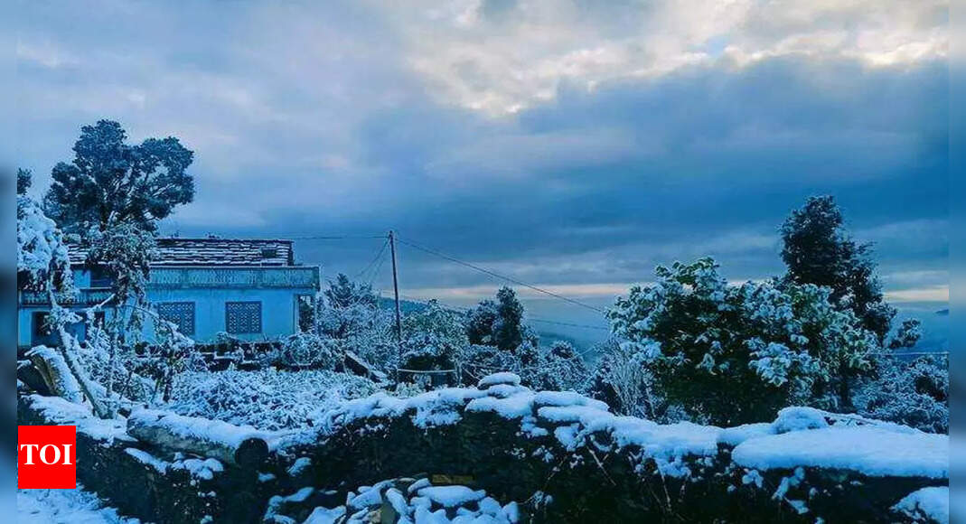 Nainital: Tourists elated as Nainital & Almora receive season's first ...