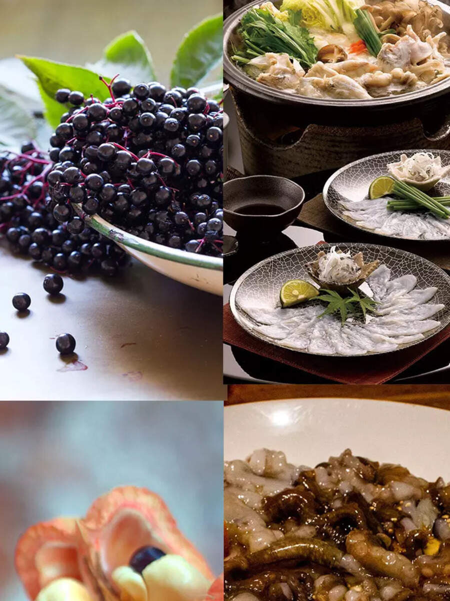 World’s top most poisonous foods | Times of India