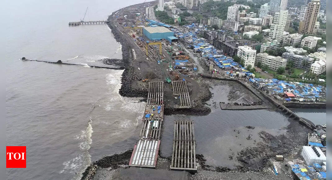 Samudraphal: Impressed, President Seeks Info On City’s Coastal Trees ...