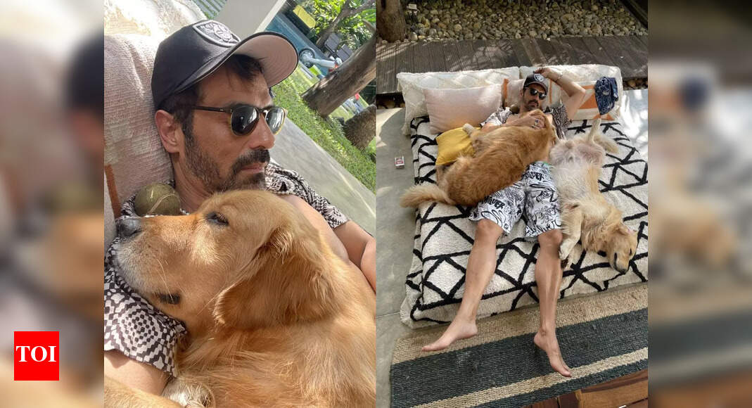 This picture of Arjun Rampal lazing around with his pet dogs is ...