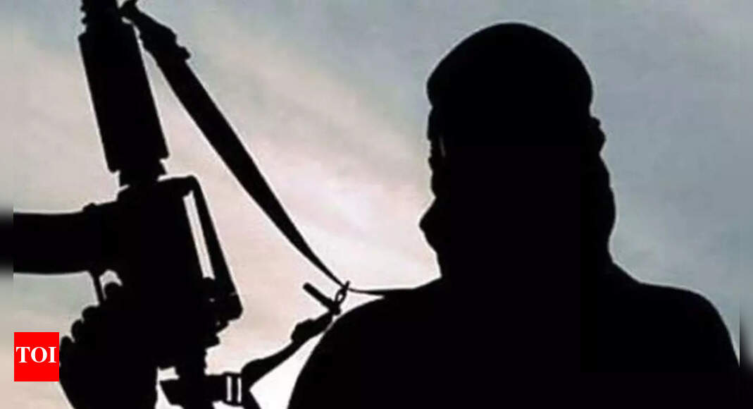 Dreaded LeT terrorist Salim Parray among two ultras killed by security ...