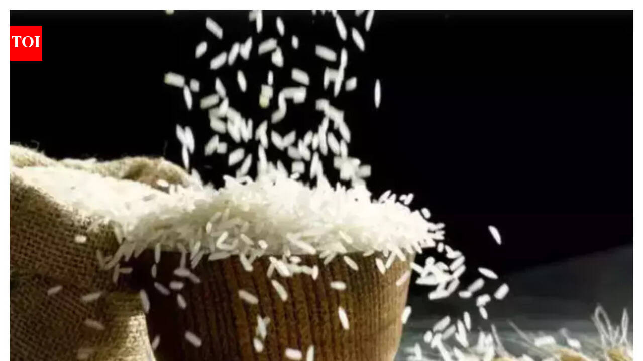 How is rice polished? Why is it considered harmful for human consumption?
