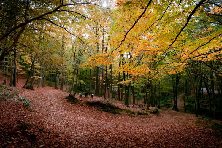 Photos of Istanbul's beauty | Times of India Travel