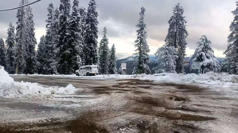 In pics: Himachal Pradesh sees season's heaviest snowfall | The Times ...