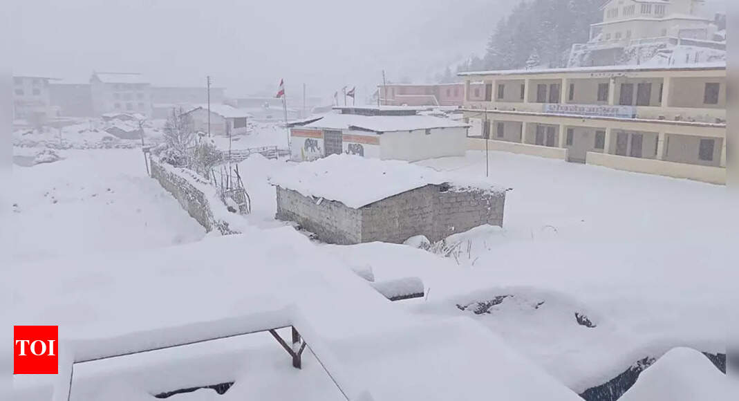 Met: Met Forecasts Heavy Snowfall In Uttarakhand Hills | Dehradun News ...