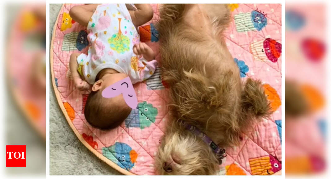 Evelyn Sharma shares an adorable PIC of her daughter Ava seeping next ...