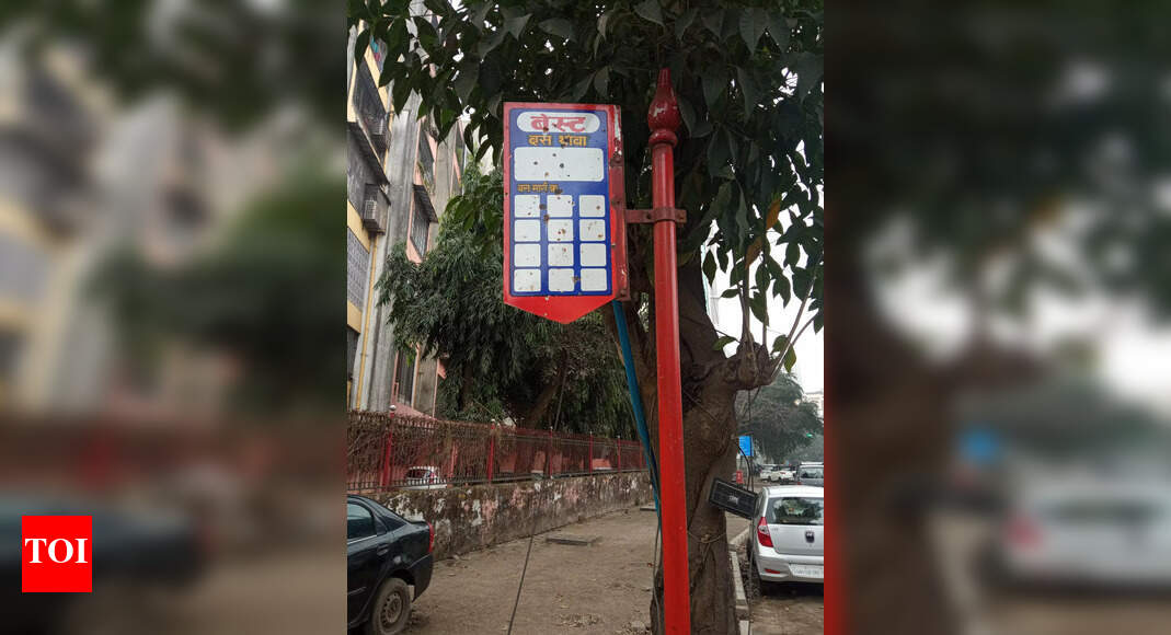 Best bus stop sign invisible - Times of India