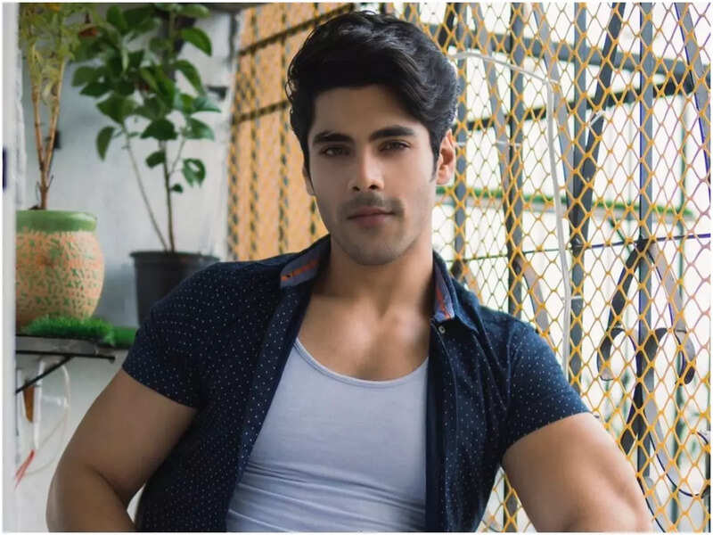 Exclusive! Here’s why Simba Nagpal declined the offer to enter Bigg ...