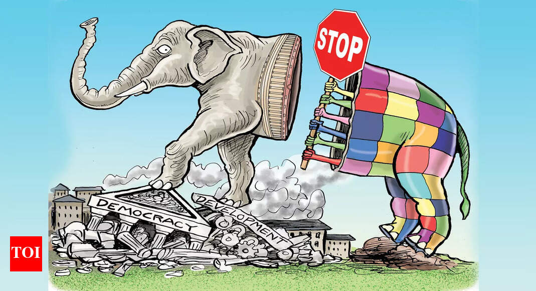 Subnational good for nation | India News - Times of India