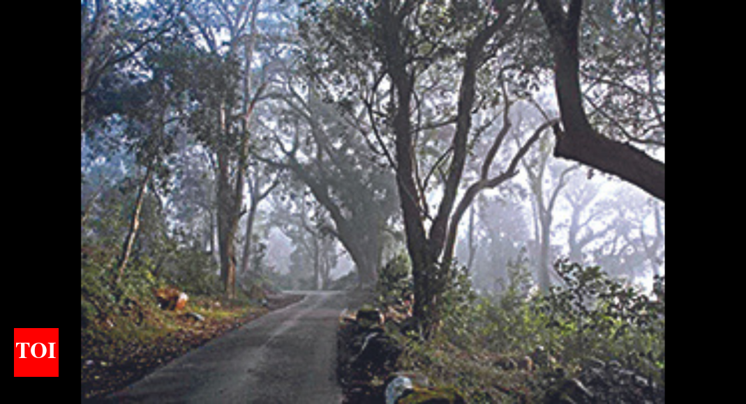 Lammasingi: Contractors Shy Away From Hill Resort Project At Lammasingi ...