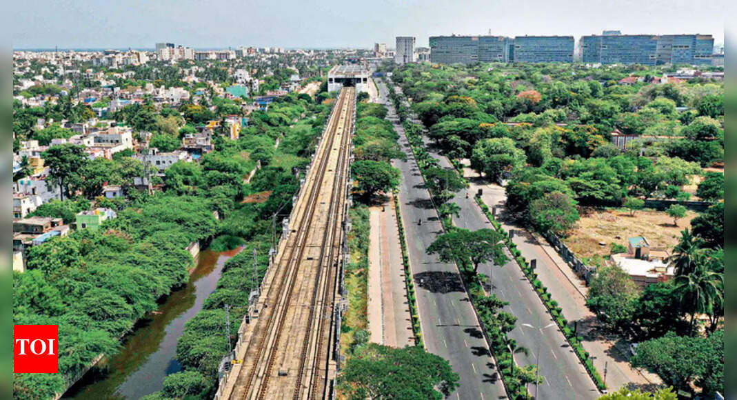 Survey shows how Tamil Nadu is missing wood for trees | Chennai News ...