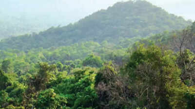 Goa’s forest quality is third-best in country after Uttarakhand and ...