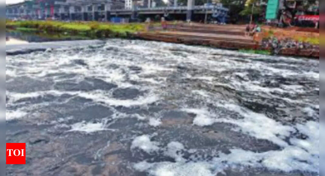 Pune: River rejuvenation project to set sail by March, 5 years after ...