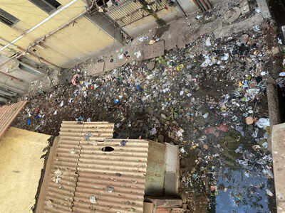 Garbage, Sewage and Mosquitoes - Times of India