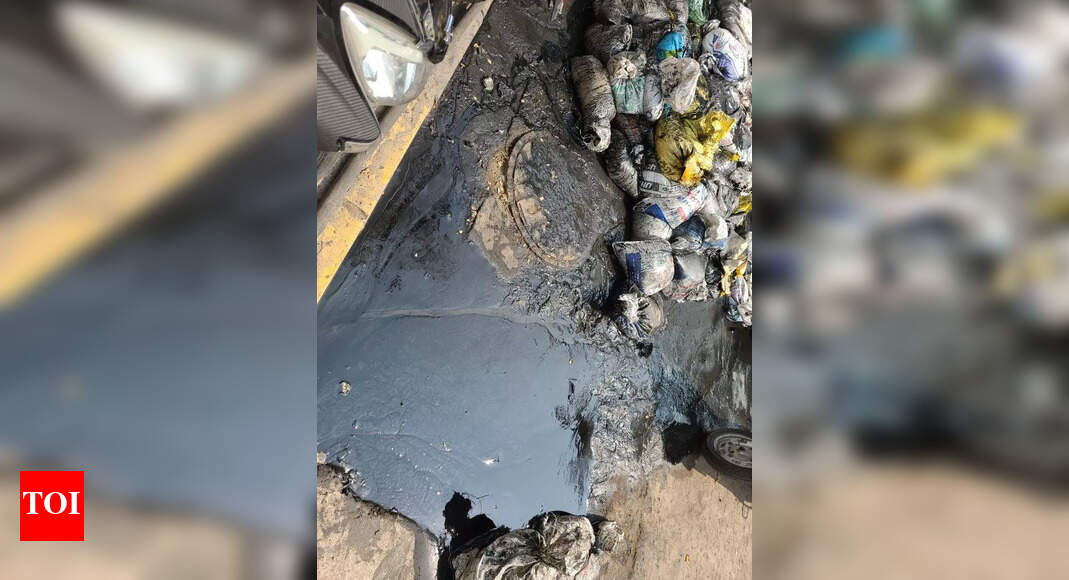 Open garbage on Patanwala Road near Mayor Bunglow - Times of India