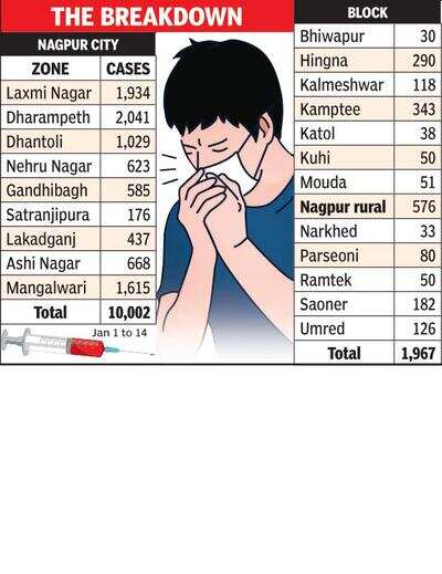 Dharampeth, Laxmi Nagar Covid hotspots in city, Ngp rural and Kamptee ...