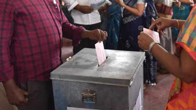 Assembly polls 2022: EC issues list of those who can cast vote through ...