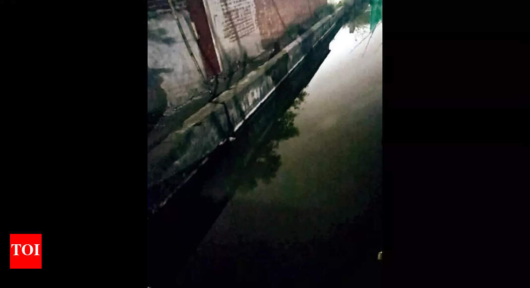 Nine-year-old Girl, Her 10-month-old Brother Drown In Drain Outside Home | Noida News - Times of ...