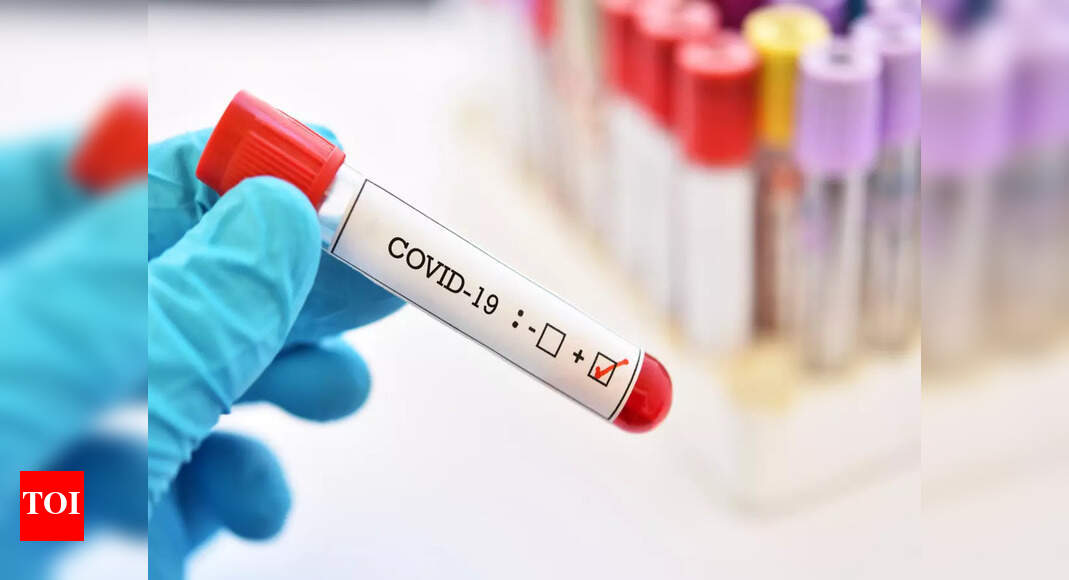 Coronavirus test explained: Understanding what your RT-PCR test report ...