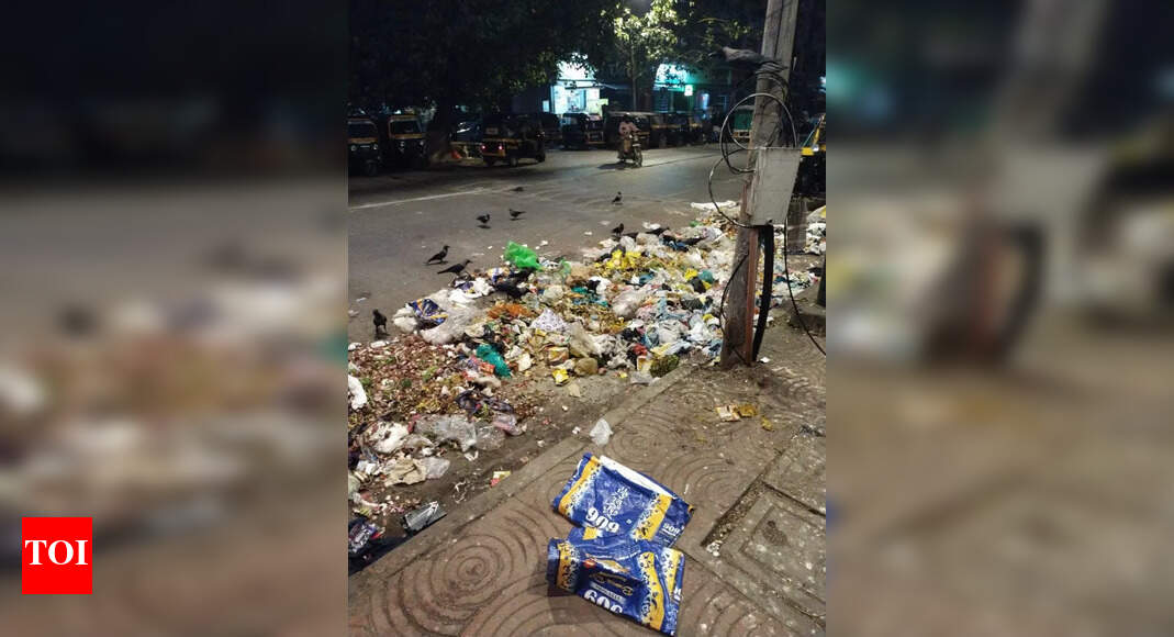 Bandra West lake garbage - Times of India