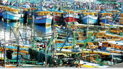 Andhra Pradesh expedites works on 9 fishing harbours | Amaravati News ...