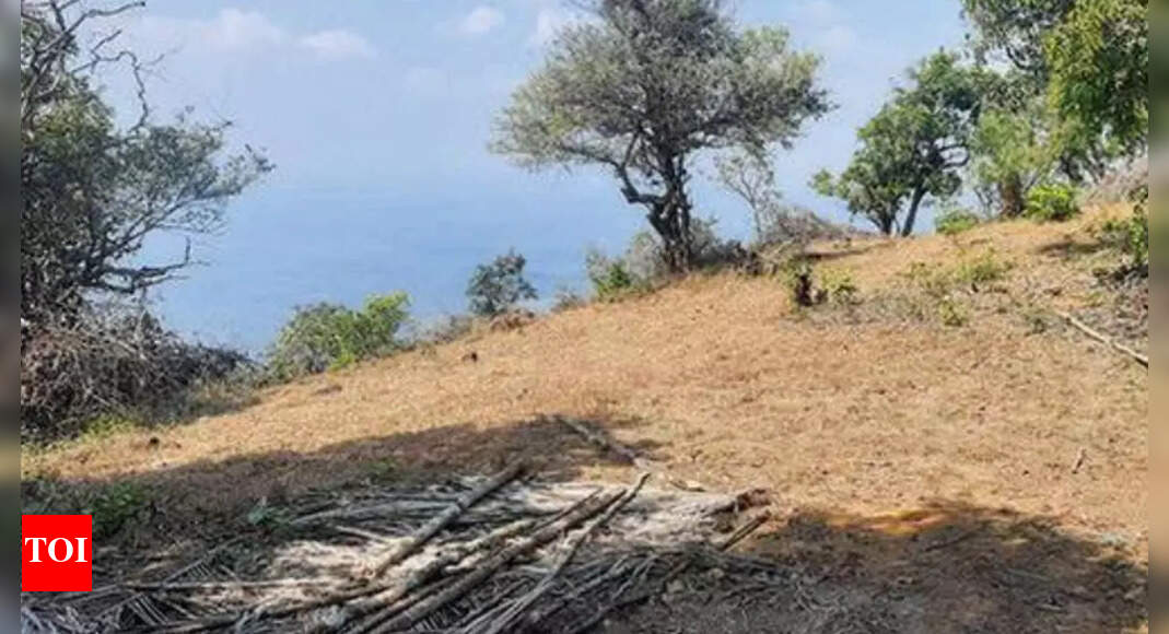 Goa: Forest department officials inspect land clearings at Vagheri hill ...