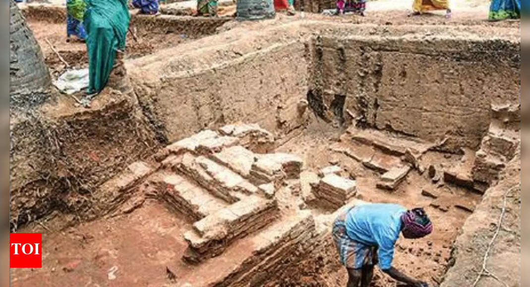 Tamil Nadu: 8th Phase Of Excavation At Keeladi From Feb | Madurai News ...