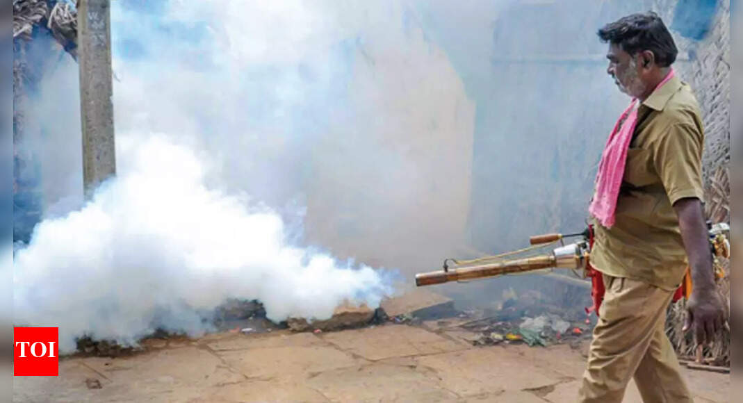 Dengue infections go up in Trichy; 110 fever cases recorded in last 50 ...