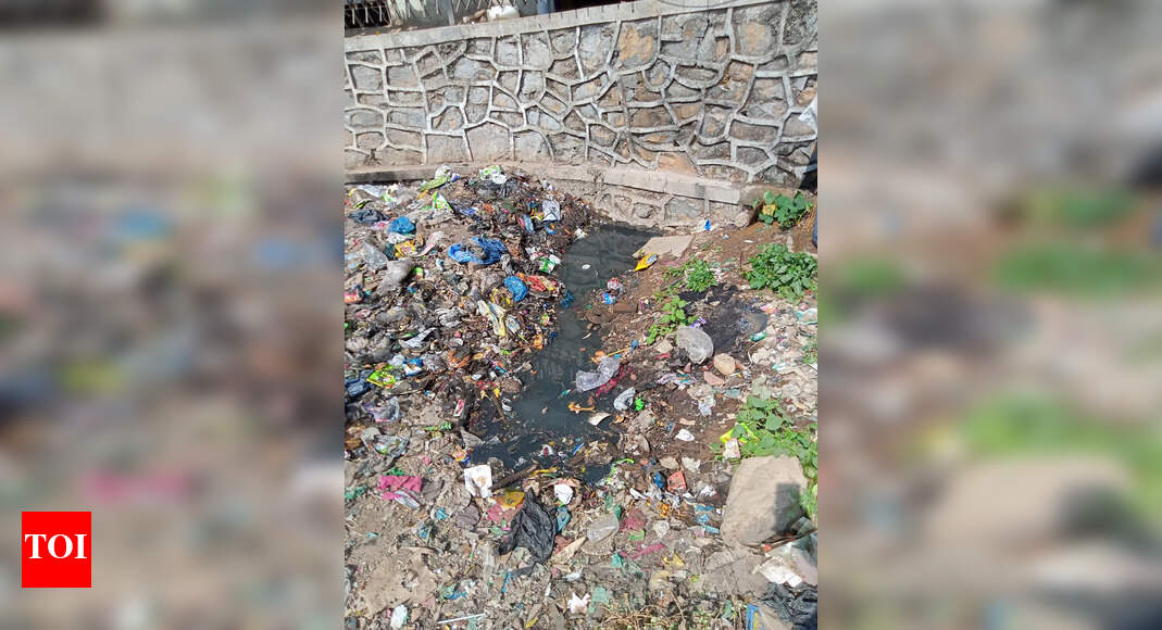 Ground is turning into a garbage spot - Times of India