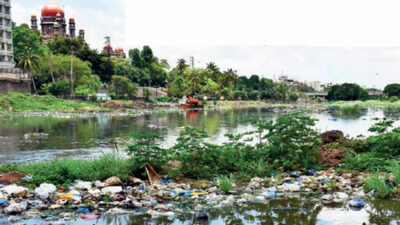 Musi River: Pride Of City, Musi, Turns Into A Cocktail Of Chemical ...