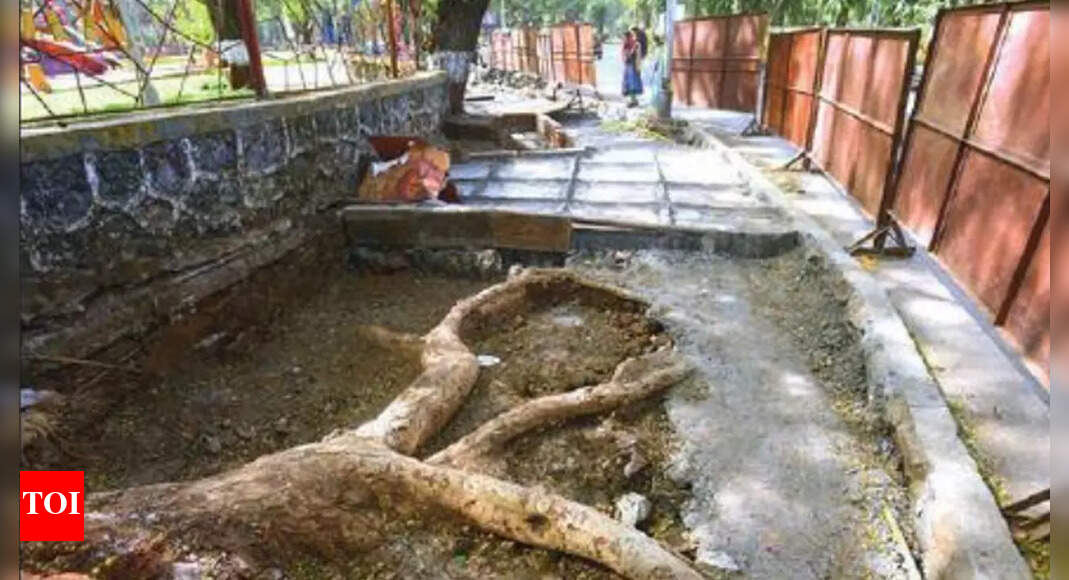 Mumbai: Heritage panel halts footpath revamp work at Parsi Colony ...