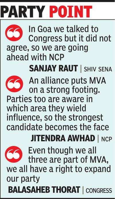 ‘Goa pattern’ for Maharashtra local body polls? | Nagpur News - Times ...