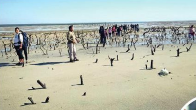 Pirotan Island Reopens After 5 Years | Rajkot News - Times of India