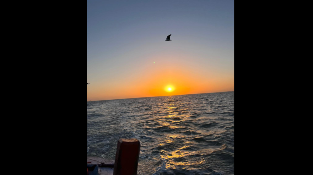 Photos: Gujarat's Pirotan island reopens after 5 years | The Times of India