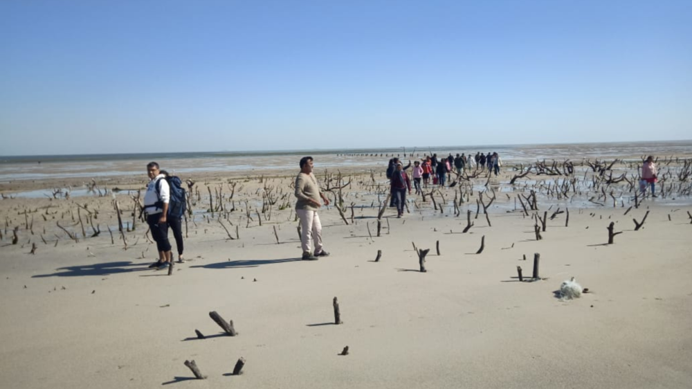 Photos: Gujarat's Pirotan island reopens after 5 years | The Times of India