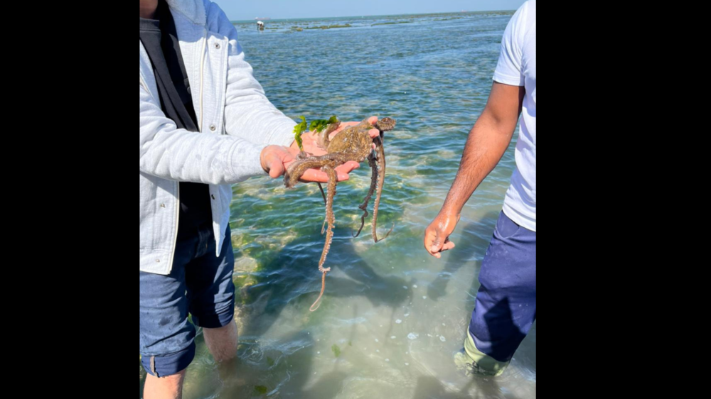 Photos: Gujarat's Pirotan island reopens after 5 years | The Times of India