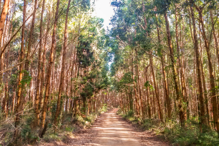 10 friendliest destinations to travel to in 2022 | Times of India Travel