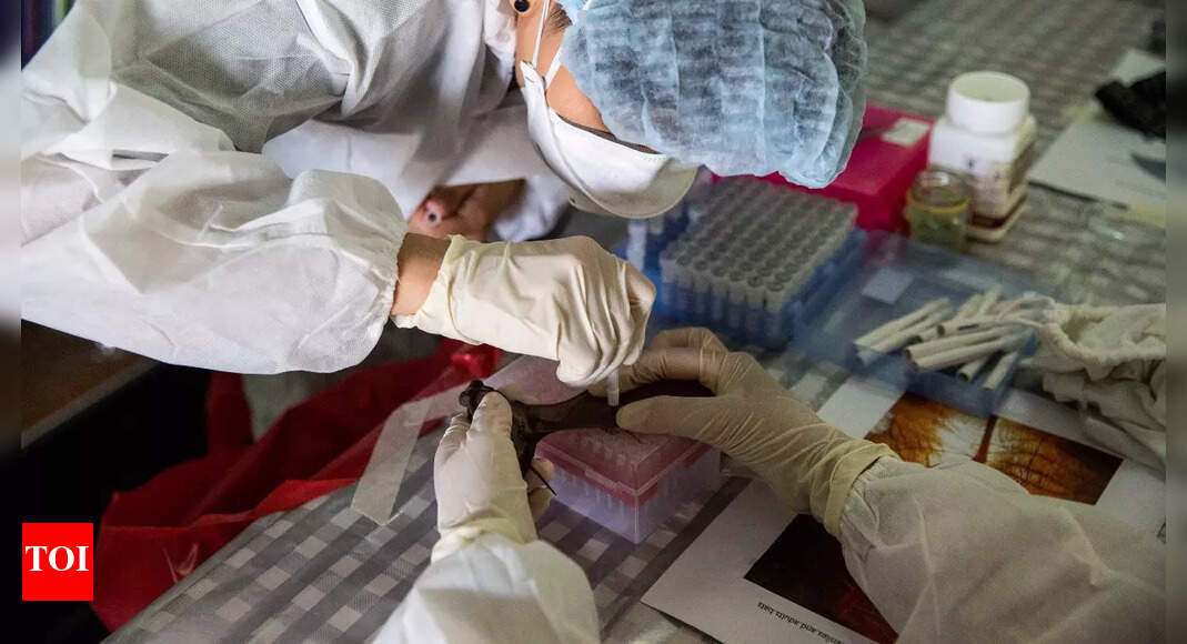 New Covid Variant NeoCov: NeoCov coronavirus found in bats may pose ...