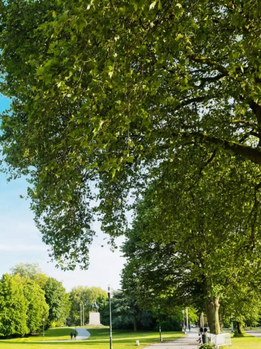 Beautiful Park in world: most beautiful public parks across the world ...