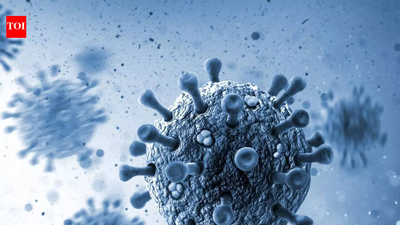 Wuhan scientists detect NeoCov coronavirus among bats in South Africa ...