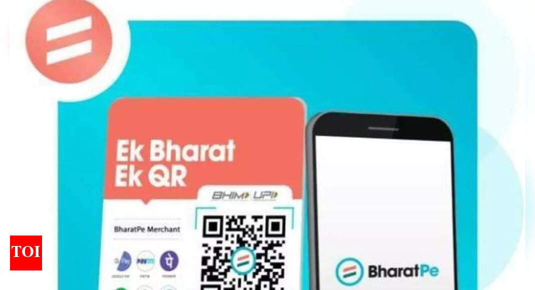 BharatPe ropes in agency for independent audit - Times of India