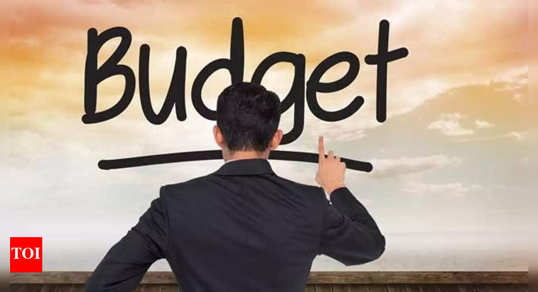 Difference between final and interim budget: All you need to know ...