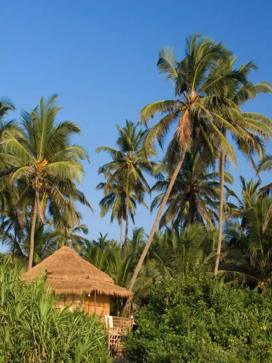 Goa Beautiful Places: Places in Goa that you can’t afford to skip ...