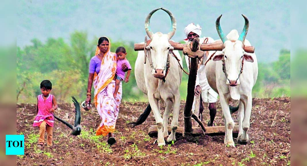 Farming gets hi-tech sauce in budget, kisan drones set for takeoff ...