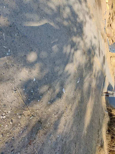Very bad condition of the road - Times of India