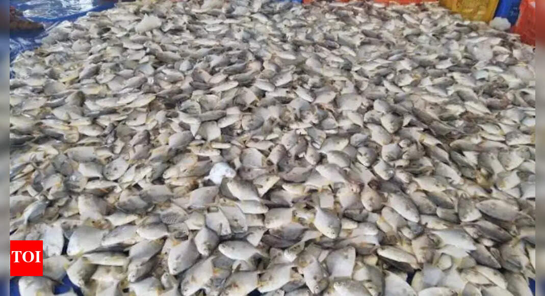 In a first, experts identifies 84 fish species in Goa’s wetlands ...