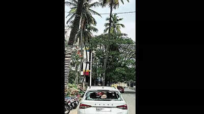 Bengaluru: Fear of coconuts keeps these residents on their toes ...