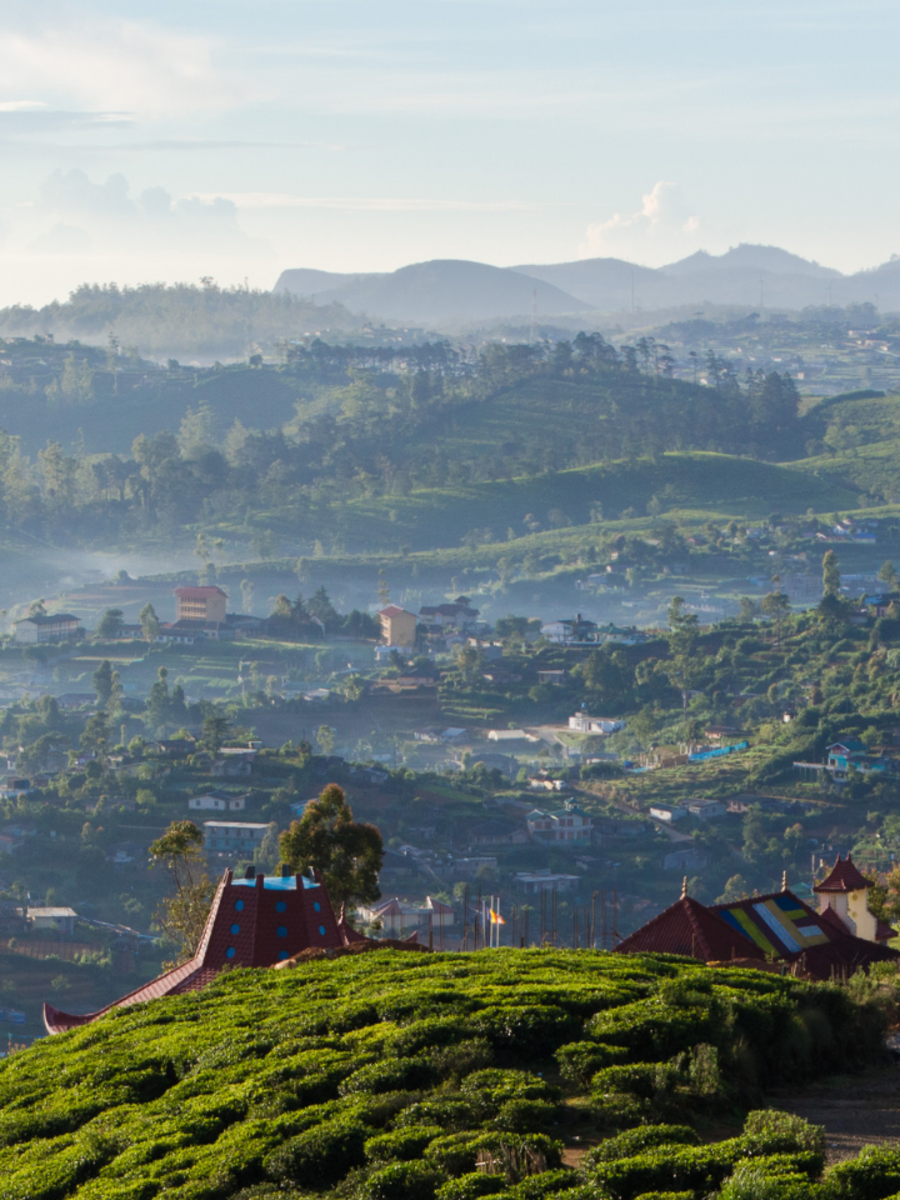 10 reasons why you must visit Assam | Times of India