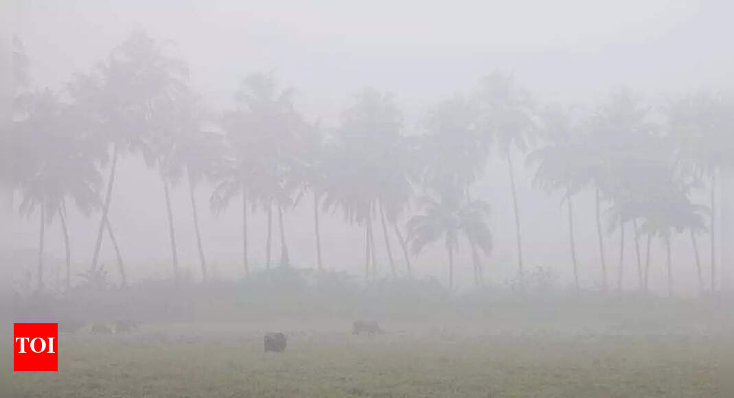 Goa: Changing winds cause temperature to drop | Goa News - Times of India