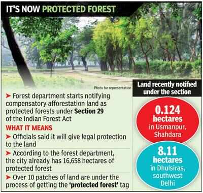 More Legal Shield To Extend Forest Cover | Delhi News - Times of India